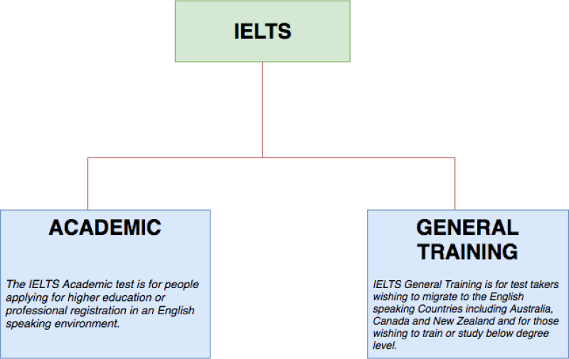 IELTS Graph